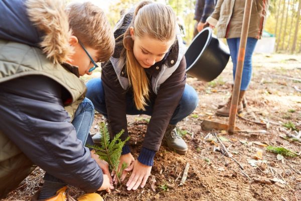 7 Urgent Reasons to Rethink Tree Planting Campaigns