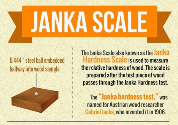 What Is Janka Hardness? Full Guide to Choose the Right Wood