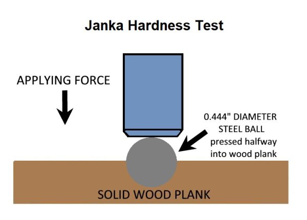 What Is Janka Hardness? Full Guide to Choose the Right Wood
